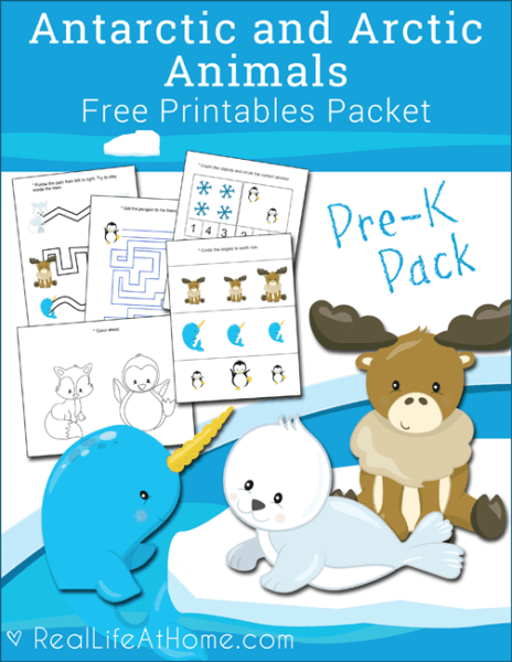 Free Antarctic and Arctic Animals Printables Packet for Preschool