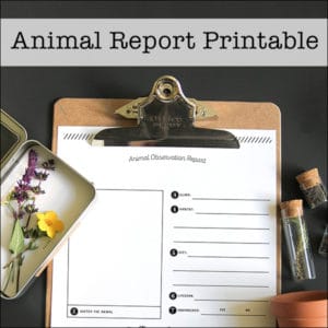 Free Science Printable: Animal Report Template for Kids