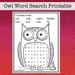 Owl Word Search Printable - Easy Word Find for Kids