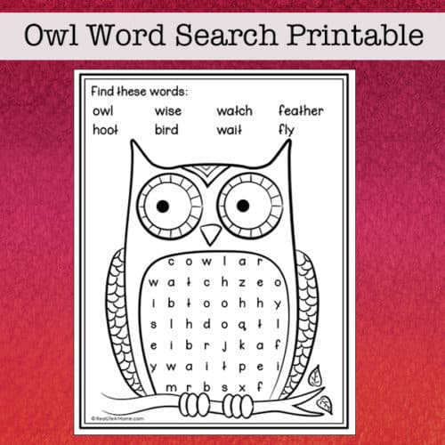 Owl Word Search Printable - Easy Word Find for Kids