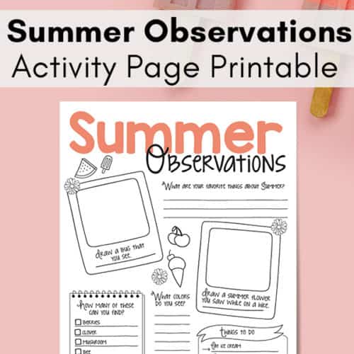 Summer Nature Study Observations Printable for Kids