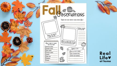 Fall Nature Study Observations Printable for Kids